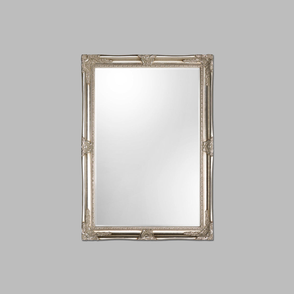Bronte Bright Silver – Mirror Mirror Australia